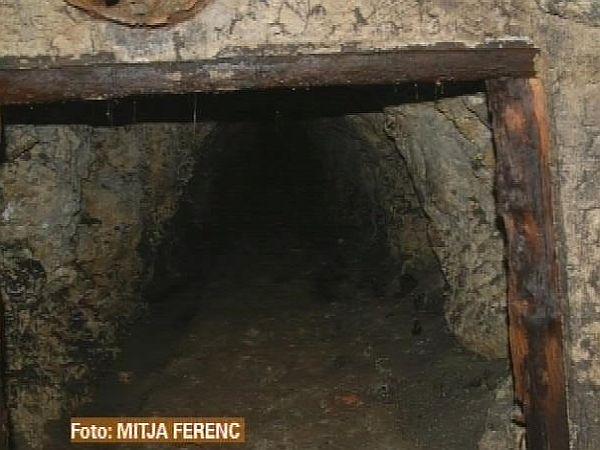 Policija išče morebitne priče - RTVSLO.si