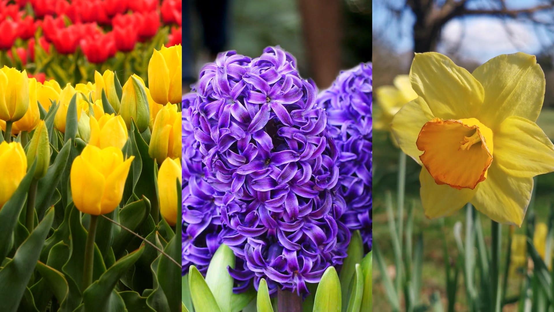 Main.jpg P2.jpg P3.jpg P4.jpg P5.jpg