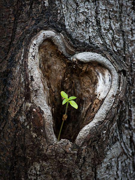 Foto: Jesen - mis fotogeničnosti med letnimi časi :: Prvi interaktivni ...