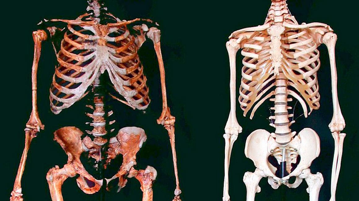 Neandertalci niso bili butasti gorjačarji - RTVSLO.si