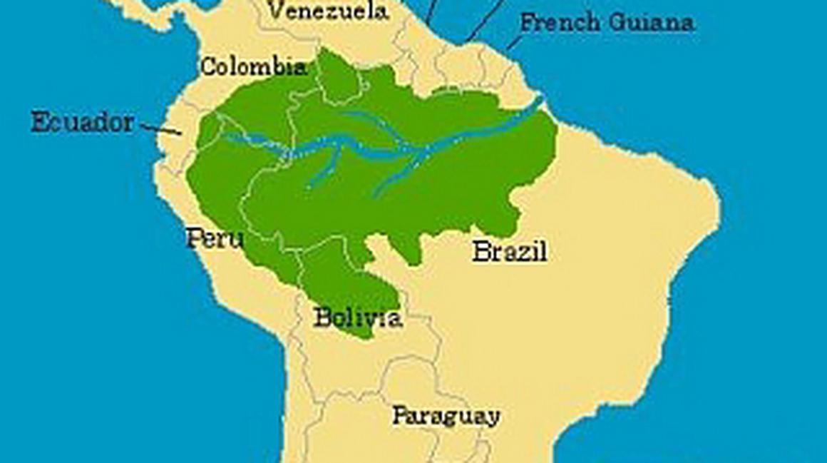 Amazonija: oslabljena pljuča planeta - RTVSLO.si