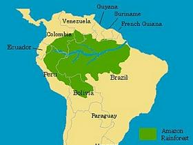 Amazonija: oslabljena pljuča planeta :: Prvi interaktivni multimedijski ...