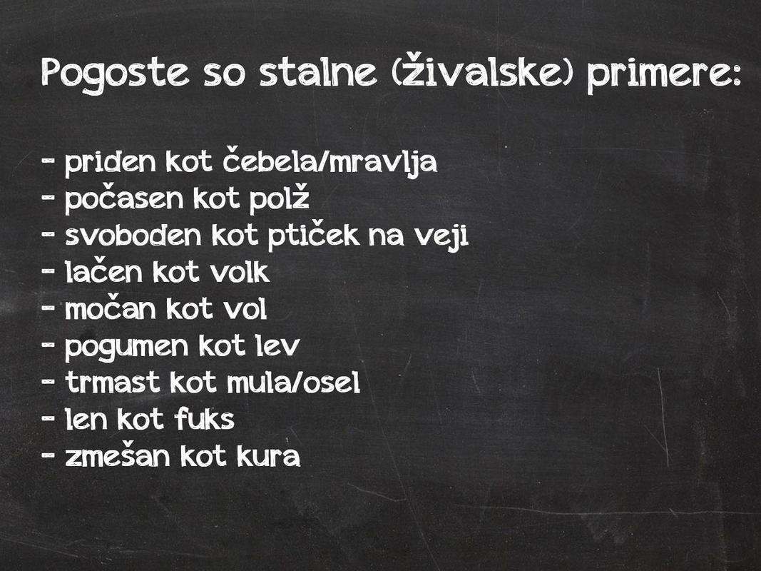 Jezikovni spletovalec: Reči bobu bob ni mačji kašelj! - RTVSLO.si
