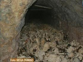 Huda Jama: kmalu nadaljevanje del, nato še ureditev grobnice :: Prvi ...